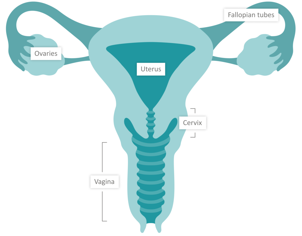Understanding Fertility - Infertility Products & Services